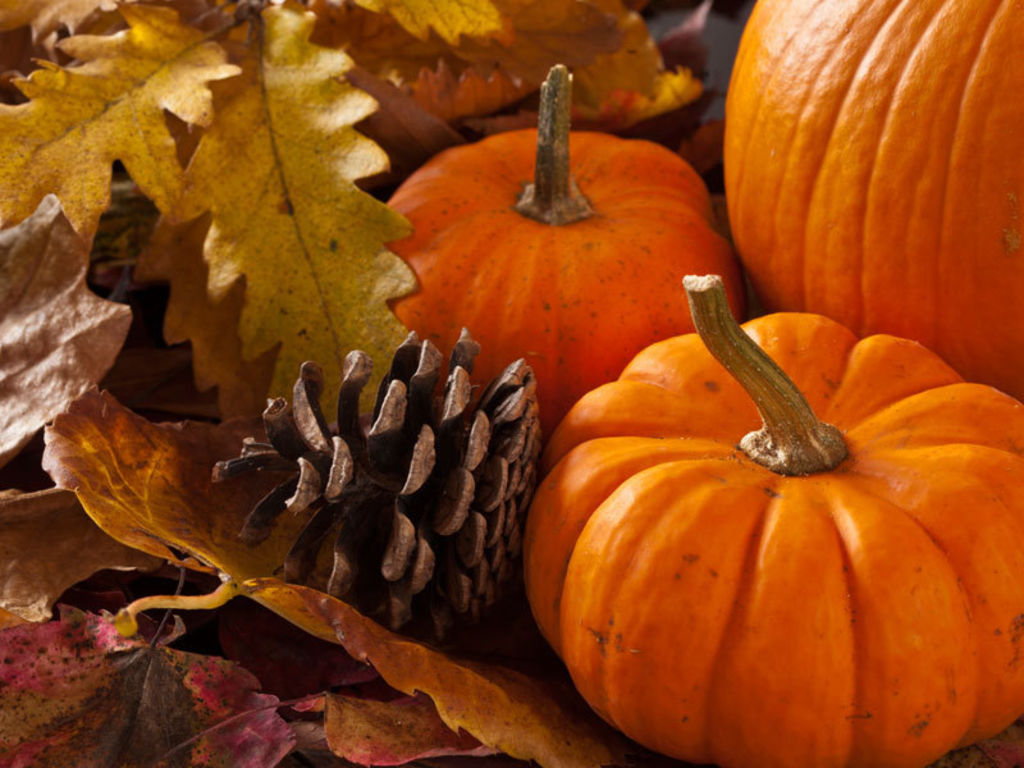 Pourquoi le Potiron est-il le légume minceur de l’automne et de l’hiver ...