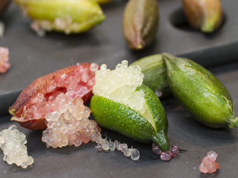Citron caviar, yuzu, combava : quels sont ces agrumes qui réveillent la ...